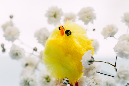 「Kyckling」の画像 - 26 件の Stock 写真、ベクターおよびビデオ | Adobe Stock