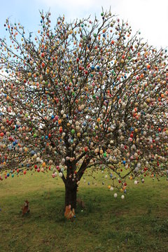 Ostereierbaum Bilder – Durchsuchen 3,507 Archivfotos, Vektorgrafiken ...