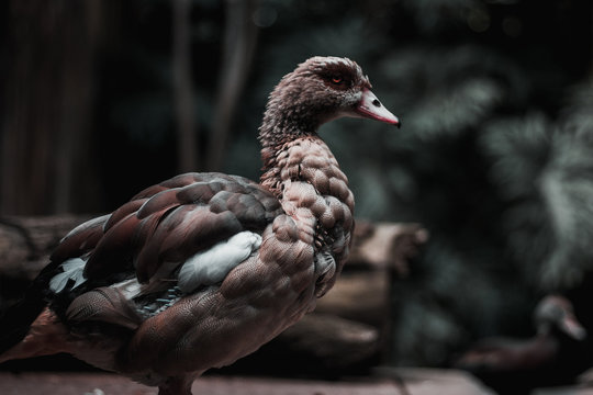 Amigable Images – Browse 710 Stock Photos, Vectors, and Video | Adobe Stock