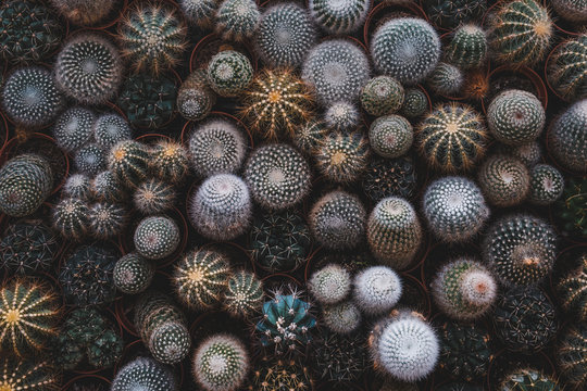 รูปภาพElement – เลือกดูภาพถ่ายสต็อก เวกเตอร์ และวิดีโอ31,402,082 ...