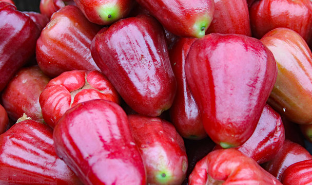 Rosenapfel Images – Browse 98 Stock Photos, Vectors, and Video | Adobe ...