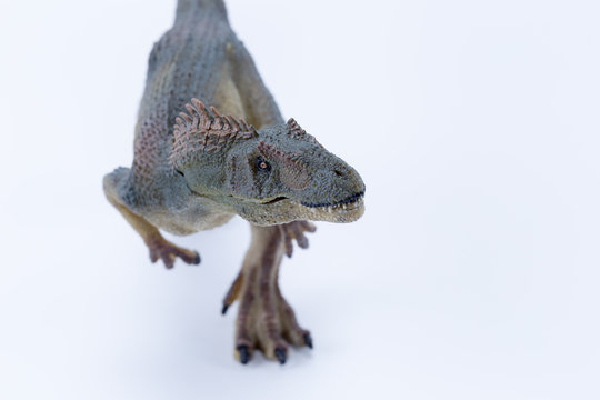 รูปภาพTheropoda – เลือกดูภาพถ่ายสต็อก เวกเตอร์ และวิดีโอ5,780 | Adobe Stock