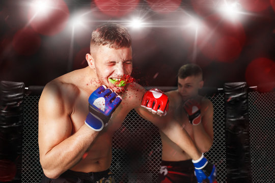 "Mixed Fighting" Images – Browse 45 Stock Photos, Vectors, and Video ...