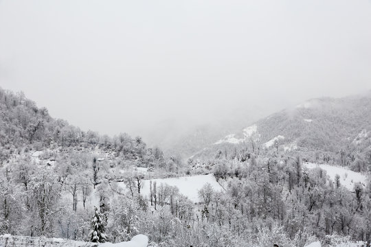 「Talesh」の写真素材 | 20件の無料イラスト画像 | Adobe Stock
