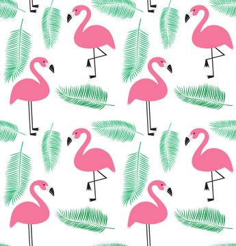 Flamingo Images – Browse 104,172 Stock Photos, Vectors, and Video ...