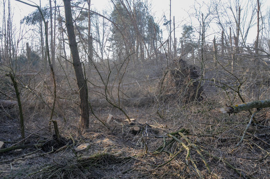 「Umelt」の画像 - 72 件の Stock 写真、ベクターおよびビデオ | Adobe Stock