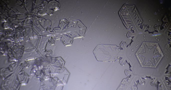 Micro Snowflake Images – Browse 1,233 Stock Photos, Vectors, and Video ...