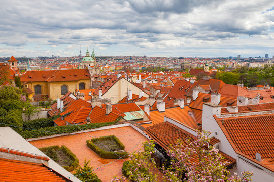 Imbrex Bilder – Durchsuchen 192 Archivfotos, Vektorgrafiken und Videos ...