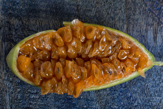 รูปภาพTaxo – เลือกดูภาพถ่ายสต็อก เวกเตอร์ และวิดีโอ688 | Adobe Stock