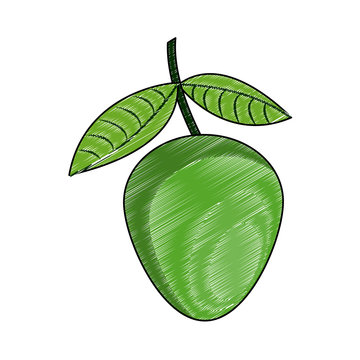 Imagens de Genip – Explore Fotografias do Stock, Vetores e Vídeos de ...