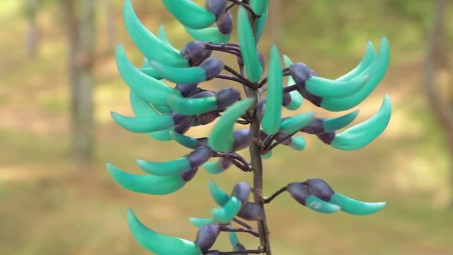 Tayabak Images – Browse 51 Stock Photos, Vectors, and Video | Adobe Stock