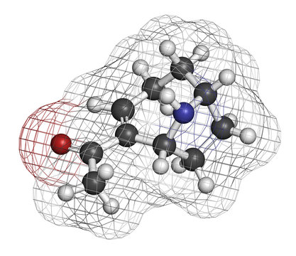 「Vfdf」の写真素材 | 8件の無料イラスト画像 | Adobe Stock