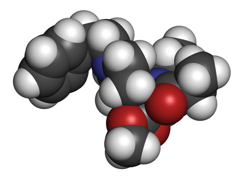 Wildnil Images – Browse 57 Stock Photos, Vectors, and Video | Adobe Stock