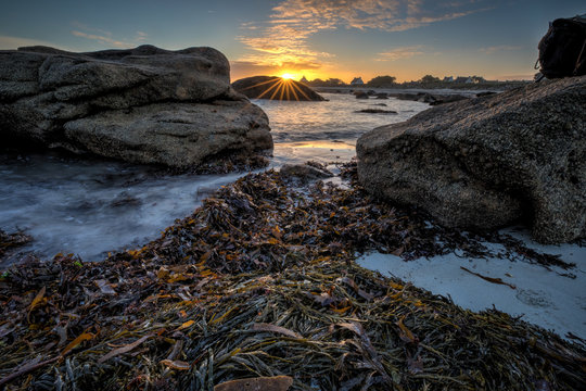 รูปภาพAlghe – เลือกดูภาพถ่ายสต็อก เวกเตอร์ และวิดีโอ2,112 | Adobe Stock