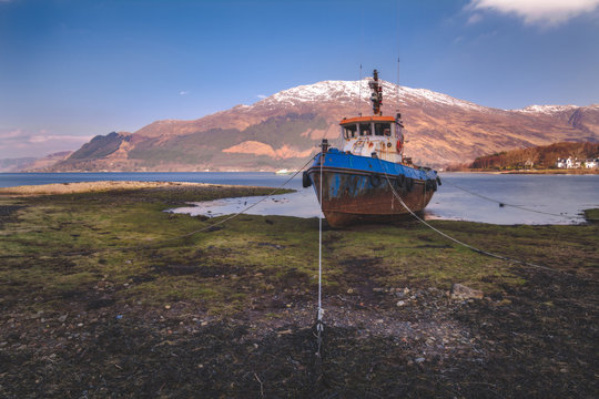 Arenata Images – Browse 102 Stock Photos, Vectors, and Video | Adobe Stock