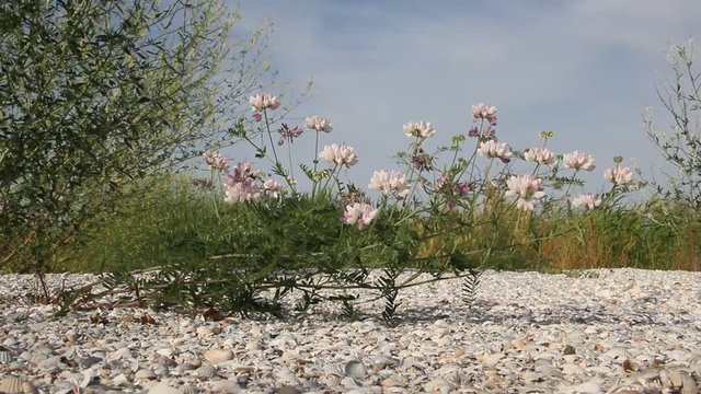 Varia Images – Browse 7,010 Stock Photos, Vectors, and Video | Adobe Stock