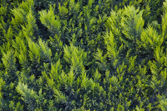 รูปภาพMatojo – เลือกดูภาพถ่ายสต็อก เวกเตอร์ และวิดีโอ159 | Adobe Stock