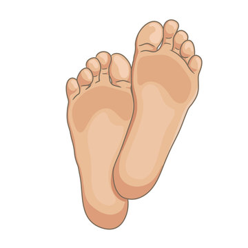Toes Cartoon Bilder – Durchsuchen 16,139 Archivfotos, Vektorgrafiken ...