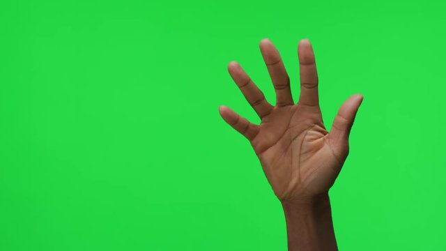 "Open Hand" Images – Browse 4,144 Stock Photos, Vectors, and Video ...