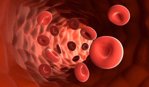 Blutplasma bilder – Bläddra bland 278 stockfoton, vektorer och videor ...