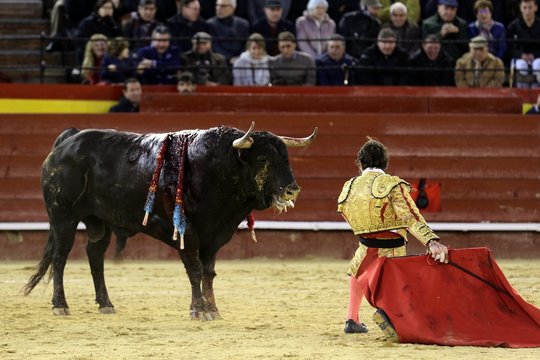 Imágenes de Montar: descubre bancos de fotos, ilustraciones, vectores y ...