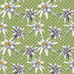 Sewing fabric with Seamless texture (pattern) with Edelweiss on the ...