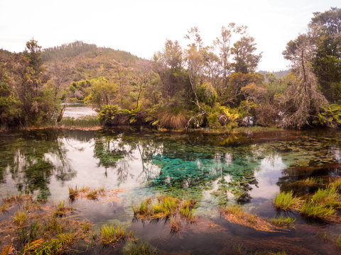 Pupu Bilder – Durchsuchen 159 Archivfotos, Vektorgrafiken und Videos | Adobe Stock