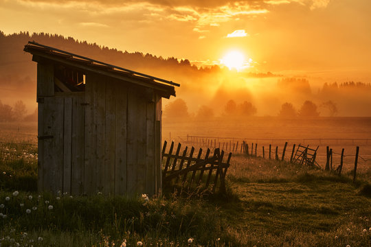 「Nisici」の写真素材 | 15件の無料イラスト画像 | Adobe Stock
