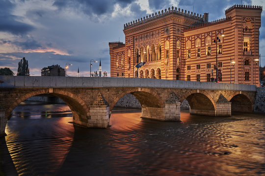 「Nisici」の写真素材 | 15件の無料イラスト画像 | Adobe Stock