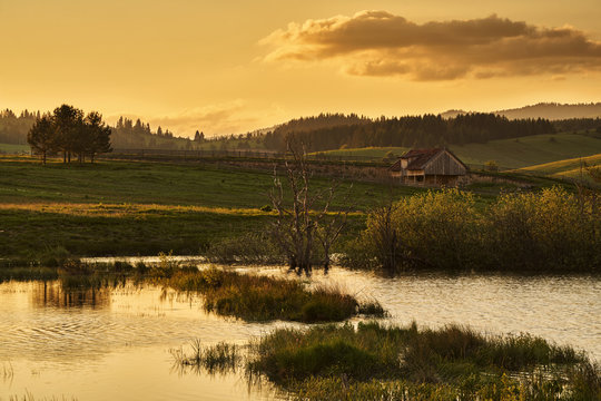 「Nisici」の写真素材 | 15件の無料イラスト画像 | Adobe Stock