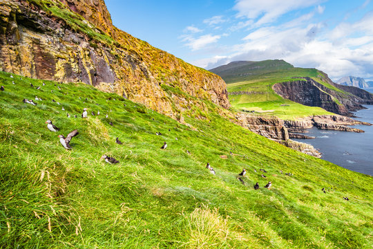 Mykines-Bilder: Stock-Fotos & -Videos. | Adobe Stock
