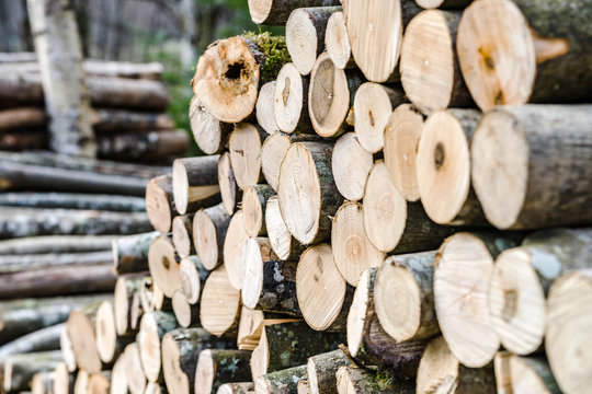 Wood-Stack Images – Browse 333 Stock Photos, Vectors, and Video | Adobe ...