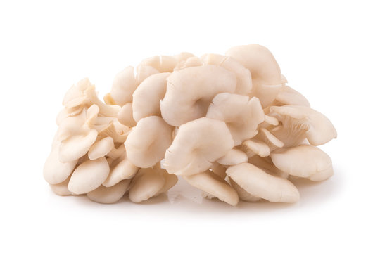 รูปภาพPanu – เลือกดูภาพถ่ายสต็อก เวกเตอร์ และวิดีโอ167 | Adobe Stock