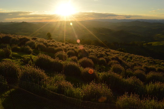 รูปภาพCunha – เลือกดูภาพถ่ายสต็อก เวกเตอร์ และวิดีโอ1,971 | Adobe Stock