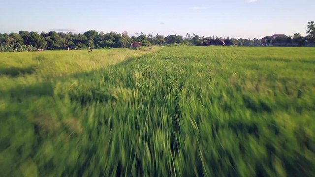 Cultive Video Footage – Browse 348 HD Stock Video and Footage | Adobe Stock