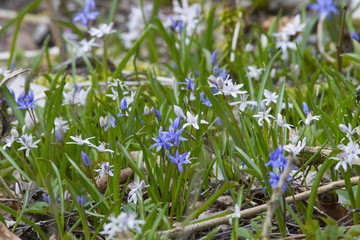 Bilder und Videos suchen: bis: were