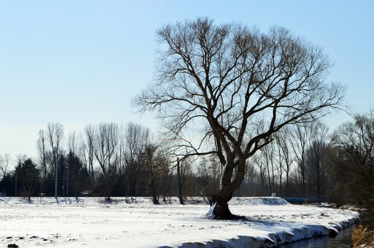 Parthe Bilder – Durchsuchen 29 Archivfotos, Vektorgrafiken und Videos ...