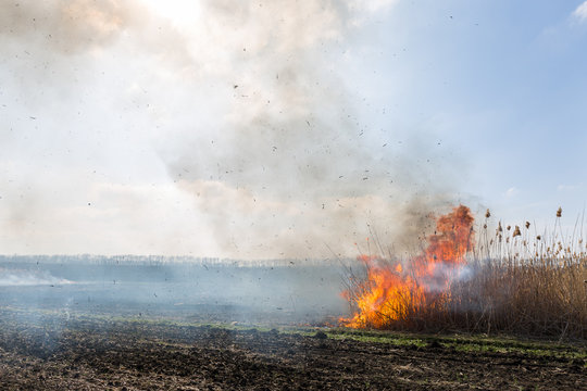 รูปภาพDitches – เลือกดูภาพถ่ายสต็อก เวกเตอร์ และวิดีโอ113,747 | Adobe Stock