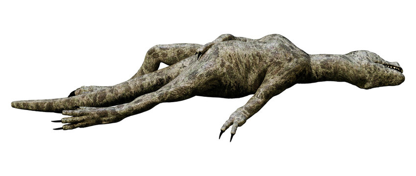 รูปภาพTheropoda – เลือกดูภาพถ่ายสต็อก เวกเตอร์ และวิดีโอ5,780 | Adobe Stock
