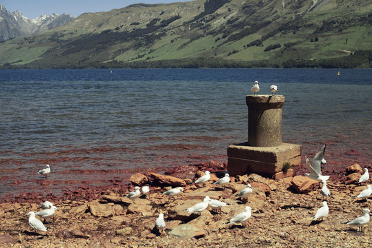 รูปภาพEncallar – เลือกดูภาพถ่ายสต็อก เวกเตอร์ และวิดีโอ70 | Adobe Stock