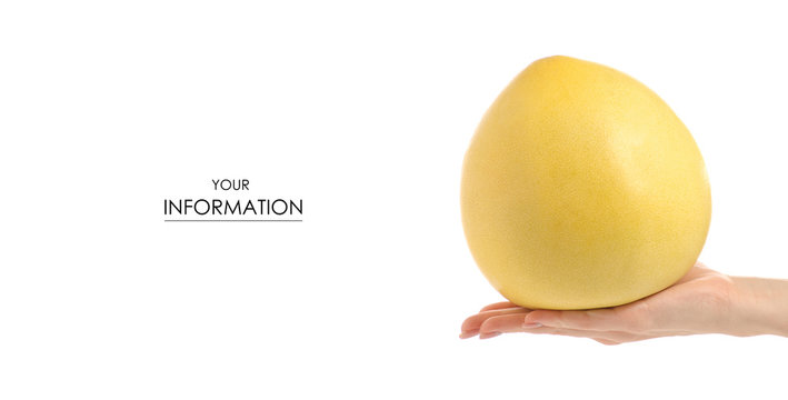 รูปภาพPomela – เลือกดูภาพถ่ายสต็อก เวกเตอร์ และวิดีโอ550 | Adobe Stock