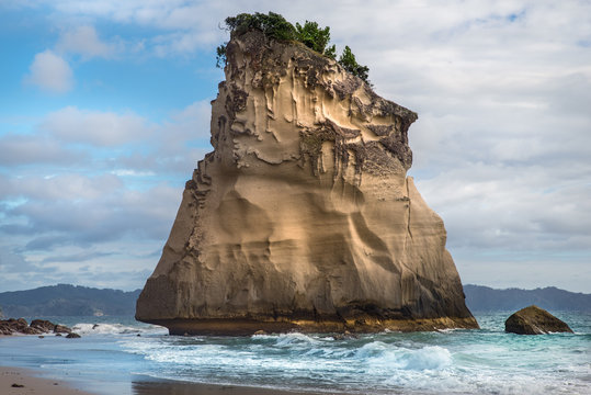 Coce bilder – Bläddra bland 73 stockfoton, vektorer och videor | Adobe ...