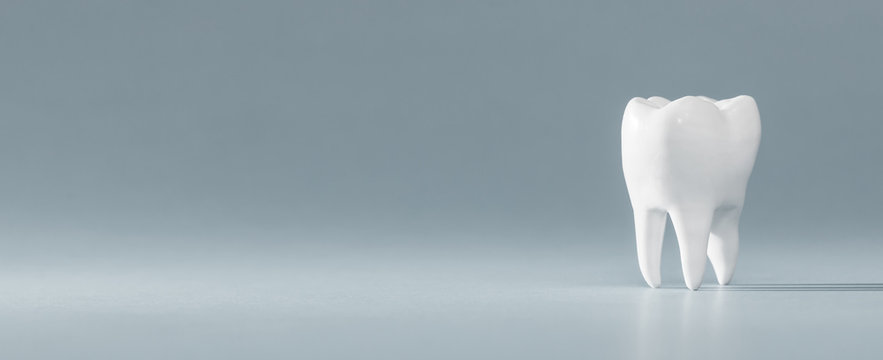 Zahn Bilder – Durchsuchen 2,111,201 Archivfotos, Vektorgrafiken und ...