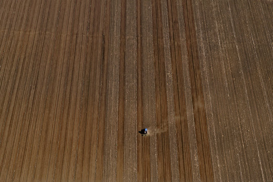 28 BEST Lockrose IMAGES, STOCK PHOTOS & VECTORS | Adobe Stock