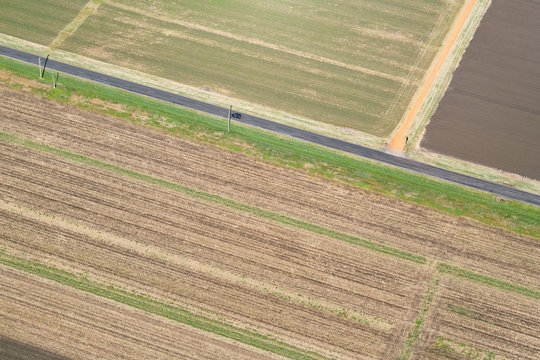 Lockrose Images – Browse 28 Stock Photos, Vectors, and Video | Adobe Stock