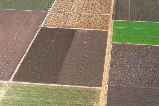 28 BEST Lockrose IMAGES, STOCK PHOTOS & VECTORS | Adobe Stock