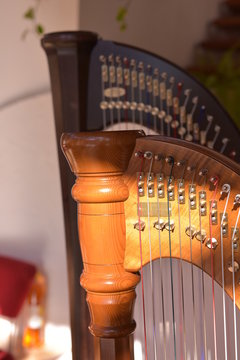 「Quetschn」の画像 - 57 件の Stock 写真、ベクターおよびビデオ | Adobe Stock