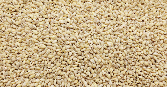 8,381 BÄSTA BILDERNA, STOCKFOTONA OCH VEKTORBILDERNA MED BESKRIVNINGEN ...