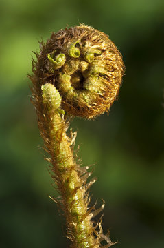 รูปภาพKeimend – เลือกดูภาพถ่ายสต็อก เวกเตอร์ และวิดีโอ117 | Adobe Stock