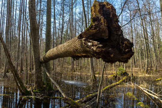 Worest Images – Browse 38 Stock Photos, Vectors, and Video | Adobe Stock